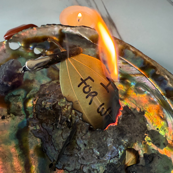 INTENTION // Bay Leaves - Burn Rituals for Focus & Clarity – Shamonique